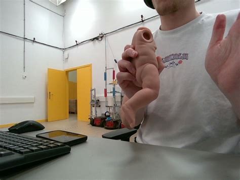 Doll Full Dataset Object Detection Model By Willou