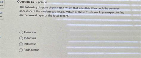 Solved 18 Question 16 2 Points The Following Diagram Shows Some