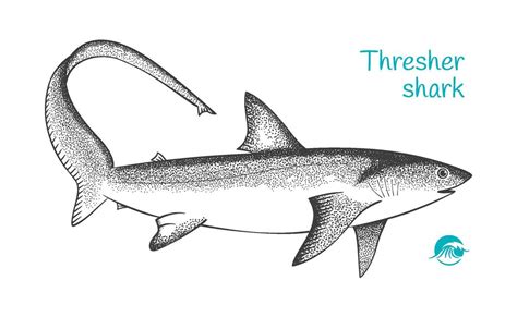 Thresher Vector Art Icons And Graphics For Free Download