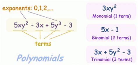 Polynomial