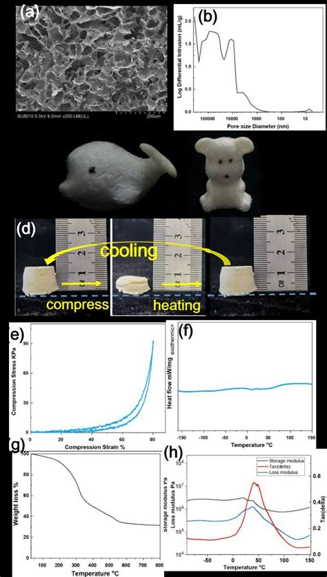 A Sem Image And B Pore Size Distribution Obtained By Mercury Download Scientific Diagram