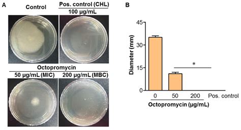 The Antimicrobial Peptide Octopromycin Suppresses Biofilm Formation And