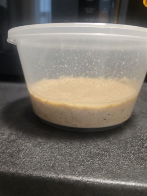 Microworms For Fish Fry Pet Supplies Pet Food On Carousell