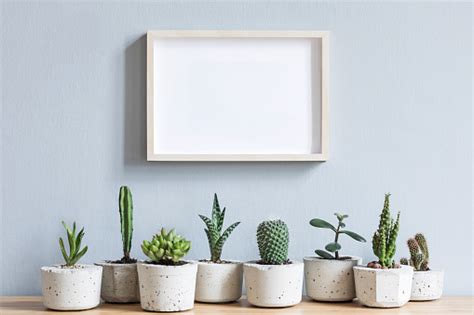 사진 프레임의 구성 선인장 및 Succulents 세련 된 시멘트 냄비에 갈색 나무 테이블에 최대 모의와 최소한의 홈 인테리어
