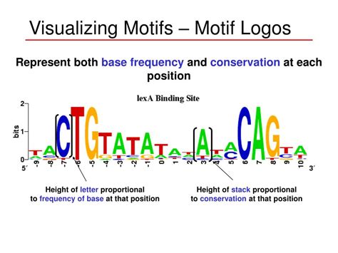 Ppt Biological Motif Discovery Powerpoint Presentation Free Download