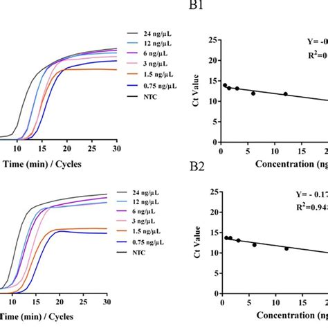 Lamp Detection Of Different Concentrations Of Dna On Paper Based