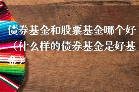 债券基金和股票基金哪个好什么样的债券基金是好基金 财经之家