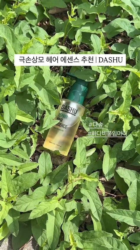 홍대붙임머리 서울붙임머리 합정붙임머리 레이어드붙임머리 소프트팁붙임머리 エクステ 하다비 복성민 원장 💙하다비는 개인을 위한