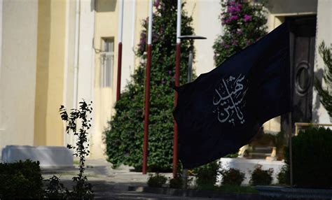 زندگی دانشجویی دانشگاه مازندران