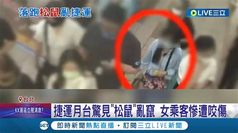 捷運月台上演松鼠驚魂記 候車乘客嚇壞邊跑邊跳慘遭抓傷 違規攜帶寵物縱放觸法拘役3天│記者 洪琮翔 曾建勳│【live大現場