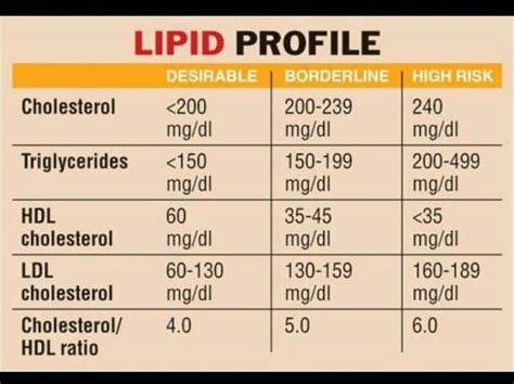 Liver Function Test Normal Range Chart Joanne Underwood