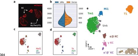 Figure 9 From HyDrop Enables Droplet Based Single Cell ATAC Seq And