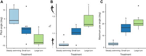Body Kinematics Results Pitch Angle A Body Bending Coefficient β B Download Scientific