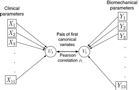 Path Diagram Of Canonical Correlation Analysis Download Scientific Diagram