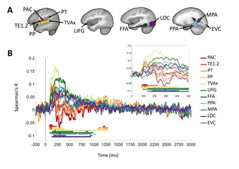 Spatiotemporal Dynamics Of Sound Representations Reveal A Hierarchical