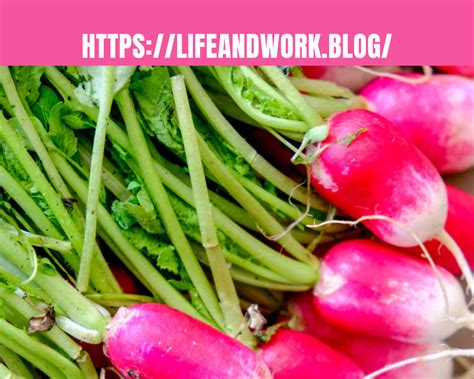 Growing Radishes Indoors In Spring And Early Summer Berts Blog
