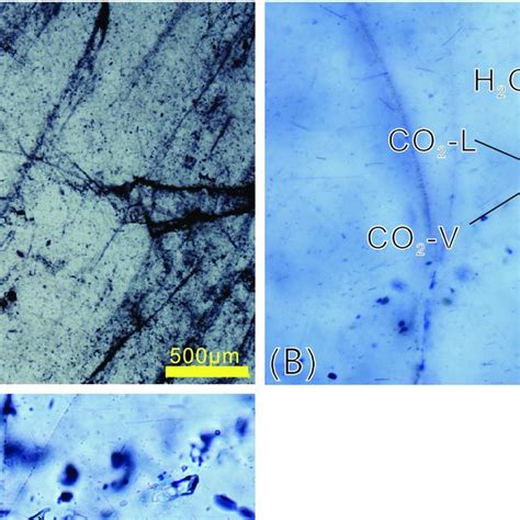 Photomicrographs Showing Types And Occurrences Of Fluid Inclusions In