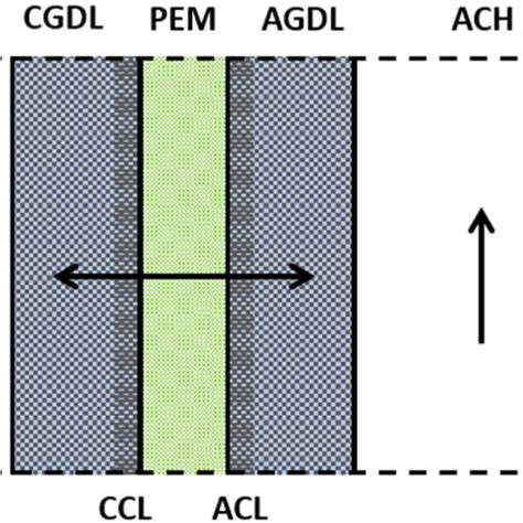 Schematic Representation Of The 1d 1d Modeling Domain With Indicated Download Scientific