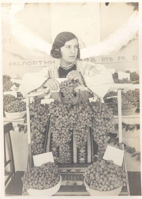 Лозарството и винарството във Варна ИнфоПорт