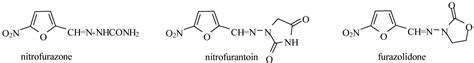 Synthesis Of Furan Derivatives Condensed With Carbohydrates