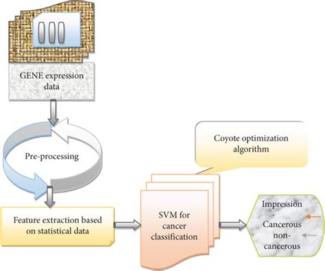 Block Diagram Of The Cancer Classification Using Gene Expression Data