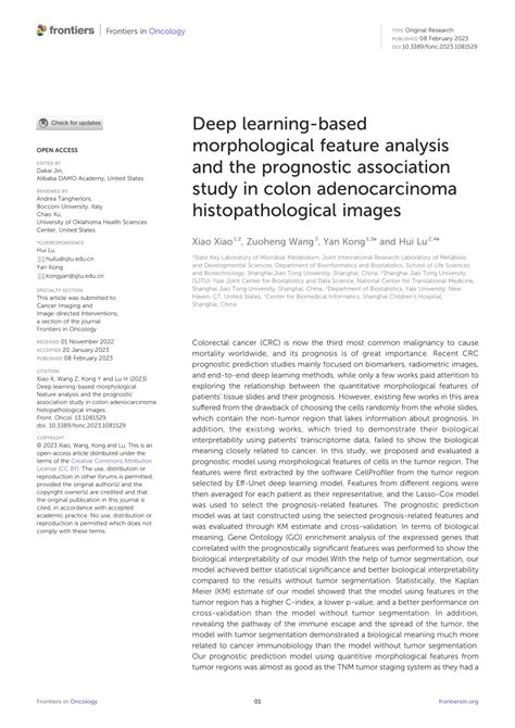Pdf Deep Learning Based Morphological Feature Analysis And The
