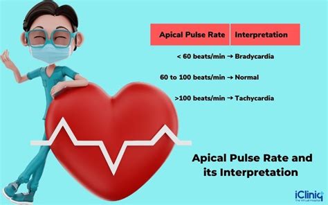 What Is Apical Pulse