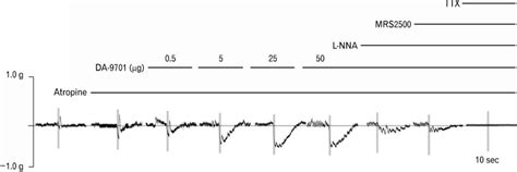 Typical Traces Of Electrical Field Stimulation Induced Contractile