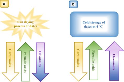 The Effect Of Date Processing On The Content Of Some Bioactive Download Scientific Diagram