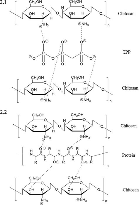Title Electrostatic Interaction Fig 2 1 Legend The Picture Shows