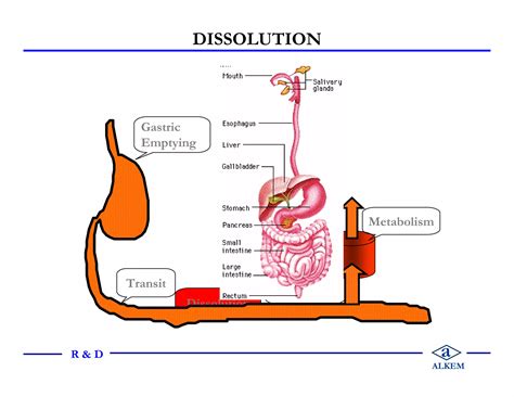 Dissolution Presentation By Subhakanta Dhal Pdf