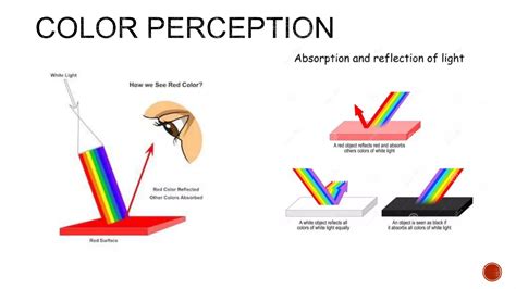 Shade Selection Seminarpptx