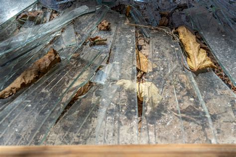 깨진 창문 파편과 나무 프레임의 일부가 마른 나뭇잎과 흙 사이로 콘크리트 위에 놓여 있습니다 가옥 파괴 0명에 대한 스톡 사진 및 기타 이미지 Istock