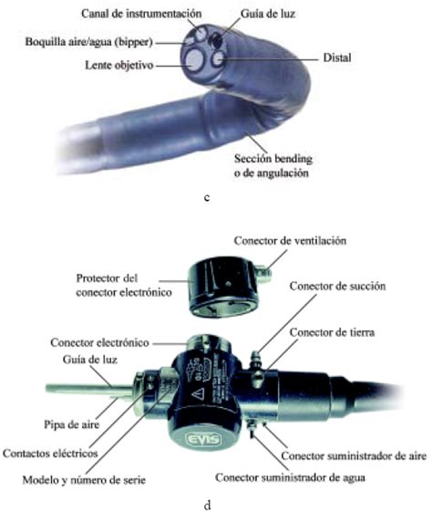 As Partes Comuns De Um Endoscópio