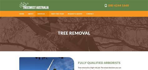 Top Tree Removal Arborists In Perth Western Australia