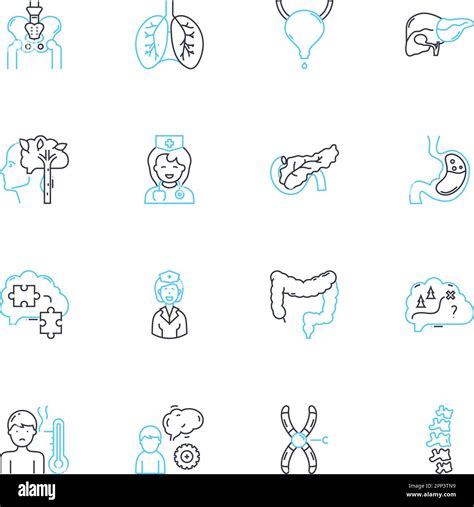Household Wellbeing Linear Icons Set Cleanliness Organization