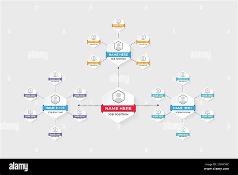 Job Position And Office Management Chart Infographic Vector With