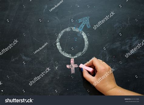 Gender Symbols Signs Male Female Sex Stock Photo Shutterstock