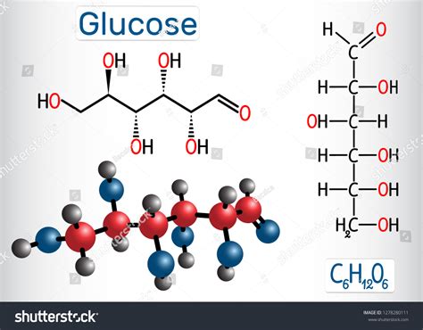 포도당포도당 D 포도당 분자입니다선형 형태구조적인 화학 공식 스톡 벡터로열티 프리 1278280111 Shutterstock