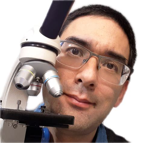 Where To Find Bacteria At Home Sludge Under The Microscope R