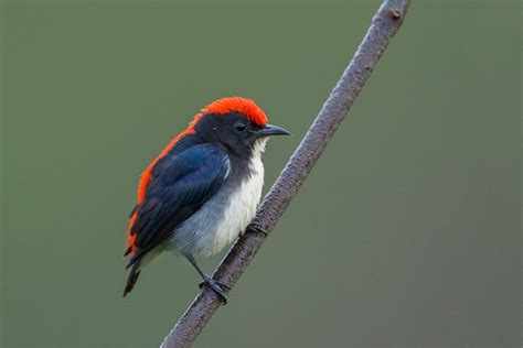 Sampling Error Part 1c Of Sampling And Confidence… By Dr Alvin Ang Codex Oct 2025 Medium