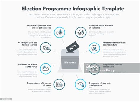 투표함 및 콘텐츠 에 대한 장소의 투표 용지가있는 선거 프로그램 인포 그래픽 템플릿 선거에 대한 스톡 벡터 아트 및 기타 이미지 선거 인포그래픽 5월 Istock