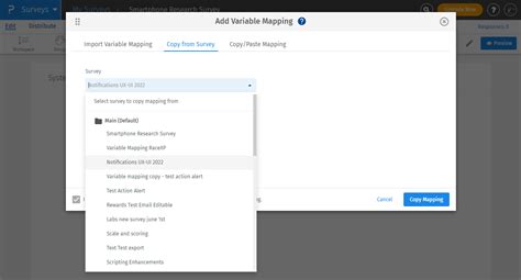 Custom Variable Mapping Questionpro Help Document
