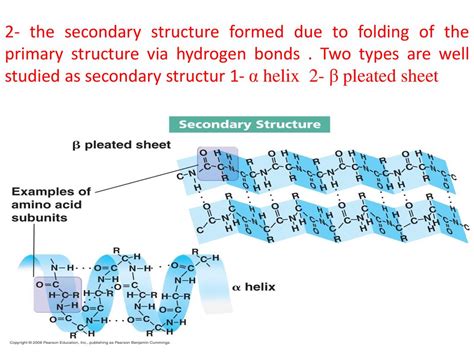 Lecture 13 Protein Synthesis Translation Ppt Download