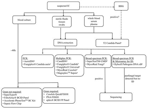 Molecular Methods For The Diagnosis Of Invasive Candidiasis