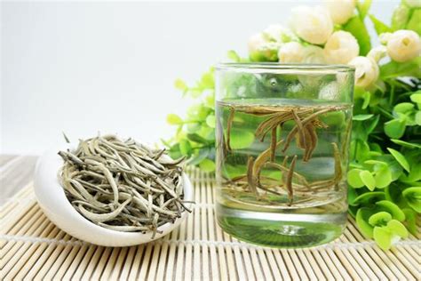 老白茶中的茶王白毫銀針 每日頭條