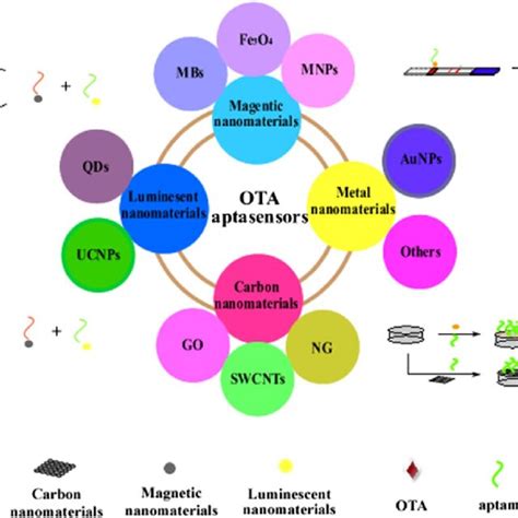 Schematic Illustration For Various Aptasensor Detection Strategies For