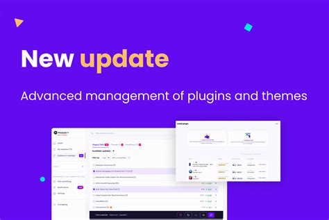 september 2024 update advanced plugin and theme management modular ds
