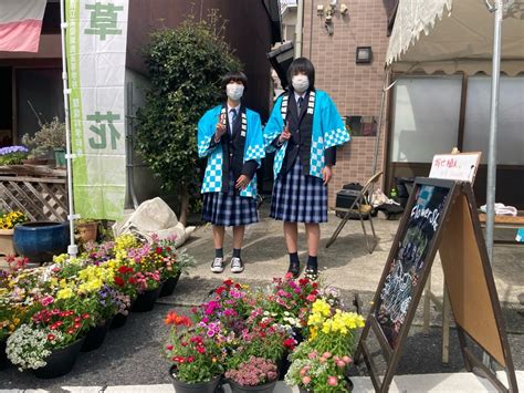 環境科学科第17回 備中たかはし町家通りの雛まつりに参加しました 岡山県立高梁城南高等学校