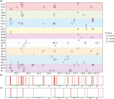 Chromosomal Distribution Of Quantitative Trait Loci Qtl For Maize